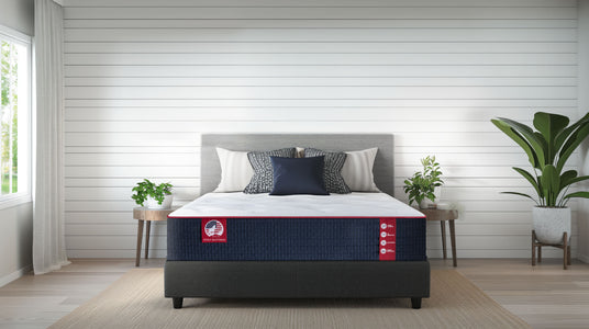 Home | Wolf Mattress